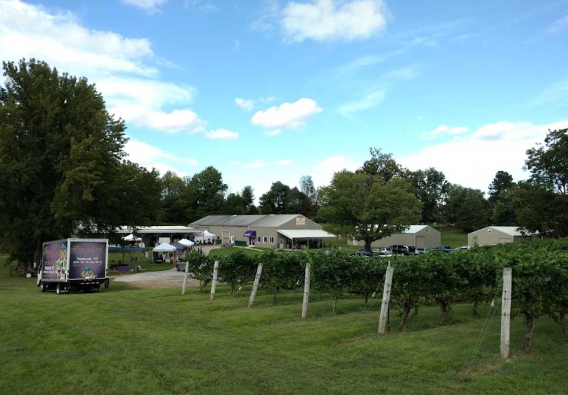 Winemaking Ideology - Purple Toad Winery - Paducah, Kentucky – Purple ...